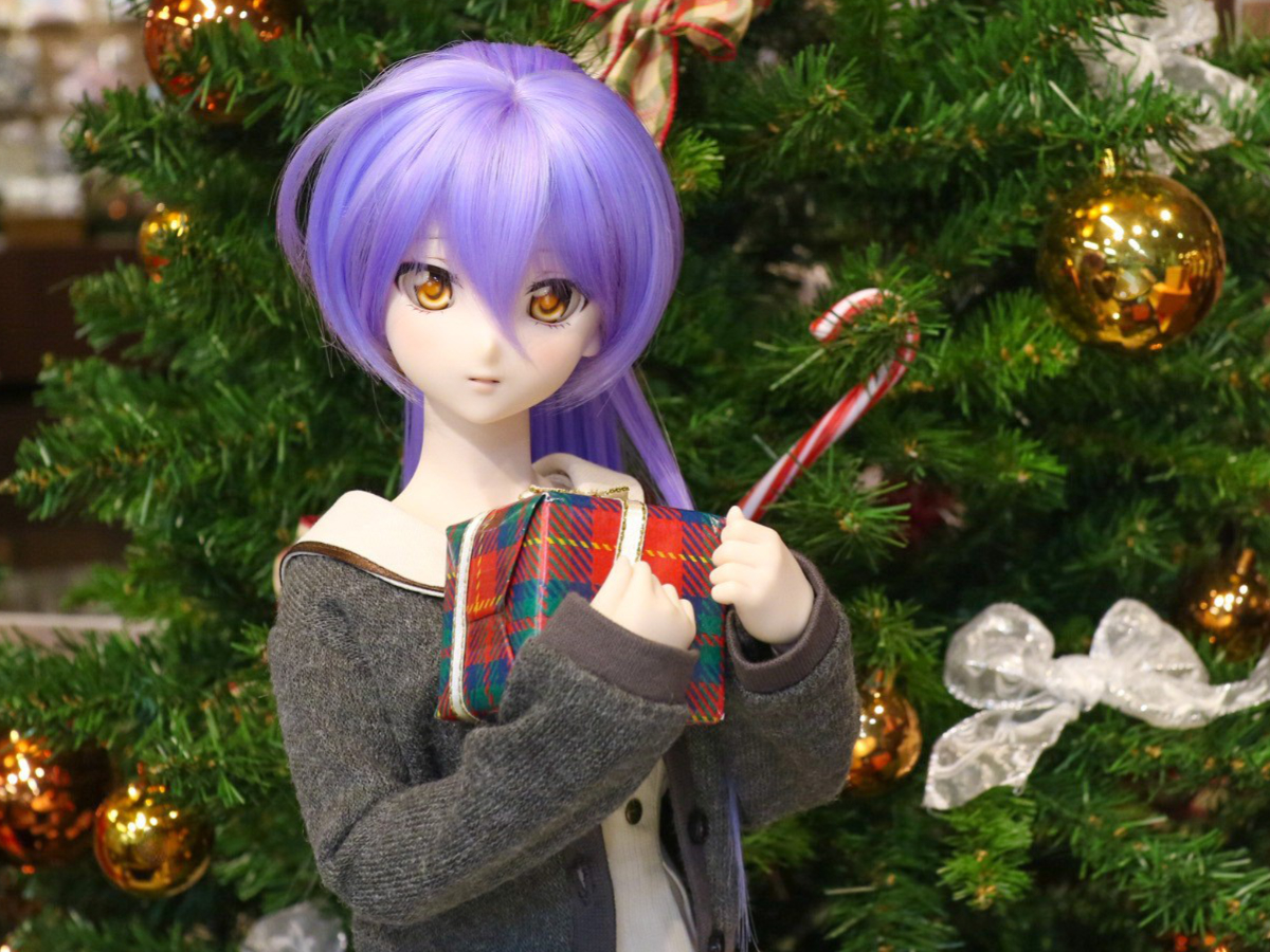 「D'COORD」で初めてのDDをお迎えしてみませんか？ | ドールポイント秋葉原 店舗ブログ | ボークス