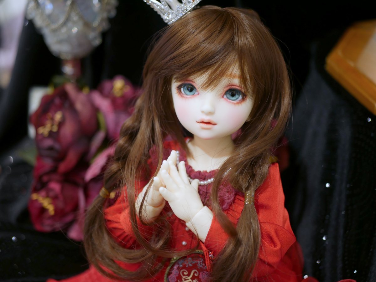 10月14日（土）ドルフィー生誕25周年記念 Dear SD お披露目日です！ 【天使の窓 Window Festa 2023】 | 天使の窓 店舗ブログ | ボークス