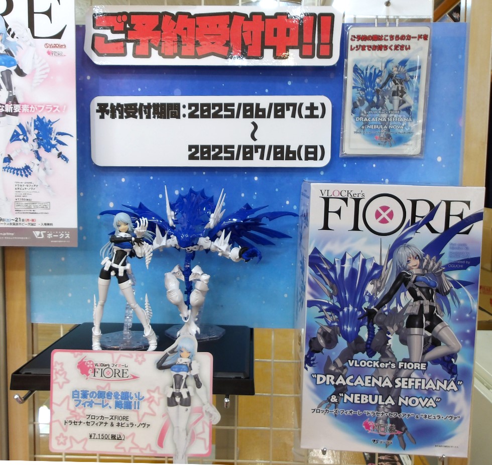 ブロッカーズFIORE 最新作！ 『ドラセナ･セフィアナ & ネビュラ･ノヴァ』ご予約受付中！！ | 横浜ショールーム 店舗ブログ | ボークス